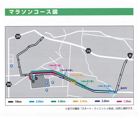 第11回ちくせいマラソン大会 2015年12月13日 下館総合体育館周辺道路