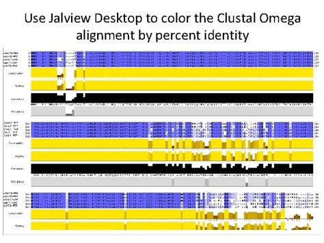 Overview Of Multiple Sequence Alignment Algorithms Yu He
