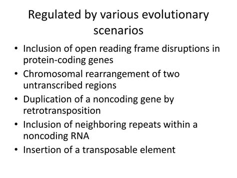 Ppt Long Non Coding Rna Powerpoint Presentation Free Download Id