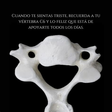 Una Vertebra Que Esta Feliz Por Ti Todos Los D As Fypchallenge Fyp