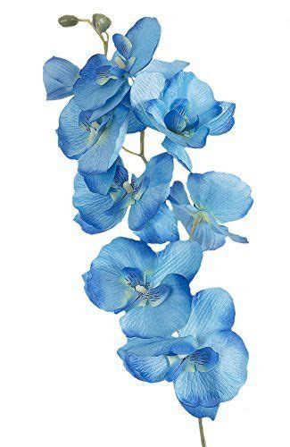 Pin By Melissa Don On Art Blue Flower Painting Flower Painting