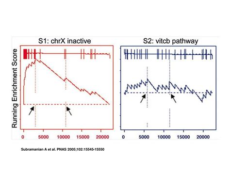 Ppt Gene Set Analysis Using R And Bioconductor Powerpoint