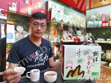 小綠葉蟬施魔法 新北蜜香紅茶上市 農業知識入口網
