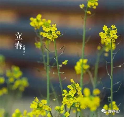 立春時節邂逅最美的立春詩詞 每日頭條