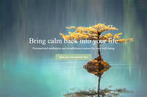 Build A Custom Animated Landing Page With Soft Ux By Shorito Fiverr
