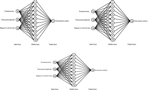 The Optimum Neural Network Model Of This Experiment Download Scientific Diagram