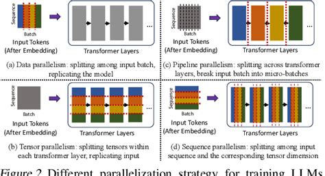 Optimized Network Architectures For Large Language Model Training With Billions Of Parameters
