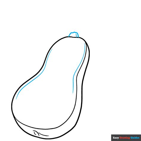 How To Draw Squash Really Easy Drawing Tutorial