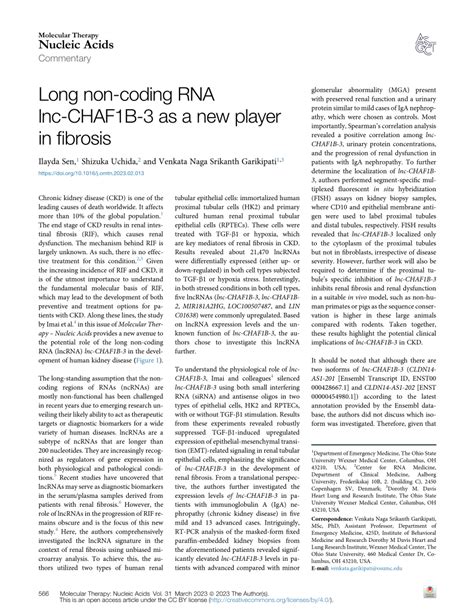PDF Long Non Coding RNA Lnc CHAF1B 3 As A New Player In Fibrosis