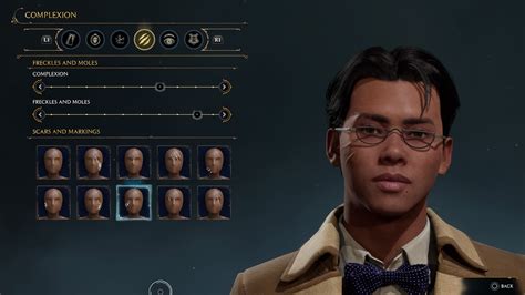 Hogwarts Legacy Character Creation Guide Plato Data Intelligence