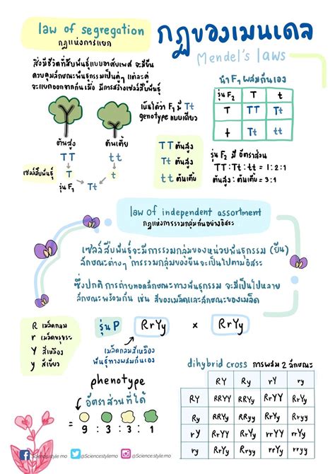 พันธุกรรม วิทยาศาสตร์ ม 3 Science Style Mo Artofit