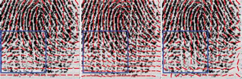 Fingerprint Orientation Field Regularisation Via Multi‐target Regression Lin 2016