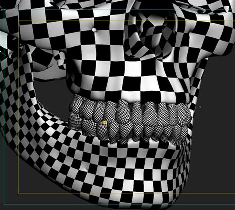 Anatomy Human Skull Obj