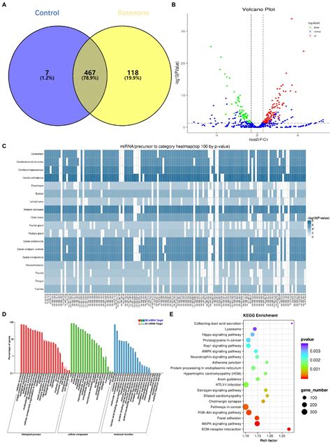 Frontiers Micrornas Profiling Of Small Extracellular Vesicles From