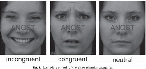 Figure 1 From Cognitive Control Modulates Preferential Sensory Processing Of Affective Stimuli