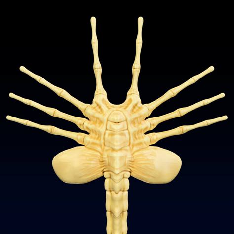 Facie Mclovin Daz Content By Darkseal