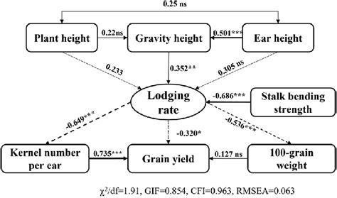 Path Analysis Of Maize Grain Yield Yield Component Sbs And Plant