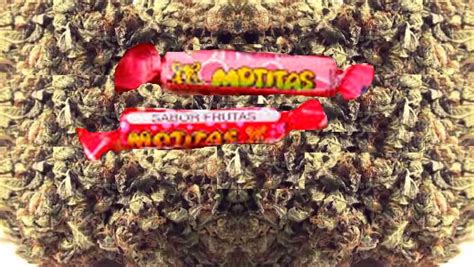 Mitos Sin Sustancia De Los Chicles Motita A La Mota Chiclosa