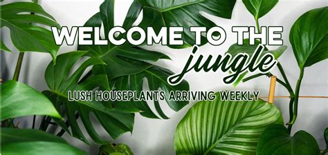 The Shoppes At Steves Ace Home And Garden Home