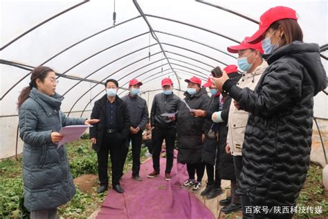 咸阳秦都区高素质农民进田间进实验室开展实训教学