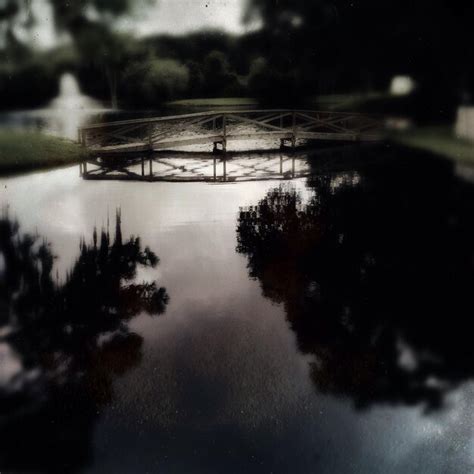 Premium Photo Reflection Of Trees In River