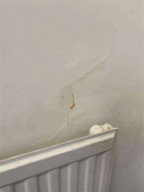 Damp Patch In Party Wall Rdiyuk