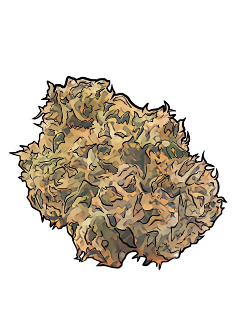 Biochem Strain Biochem Weed Strain Review Flavor Fix