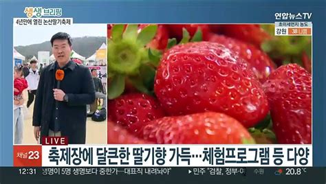 세계 딸기 엑스포를 향해논산 딸기 축제 개최 동영상 Dailymotion