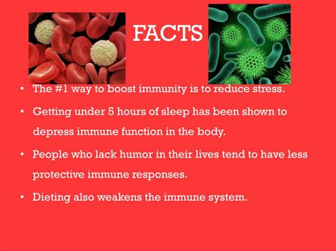 Ppt The Immune System Powerpoint Presentation Free Download Id2236692