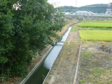 海に流れるごみのない用水路を岡山市民たちのオカヤマどんぶらこリサーチ