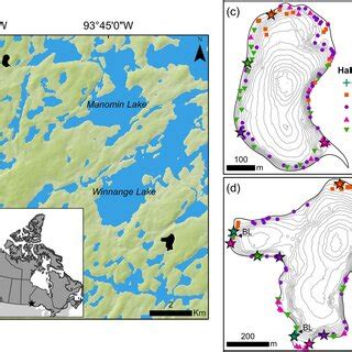 Non Metric Multidimensional Scaling NMDS Biplots Showing Littoral
