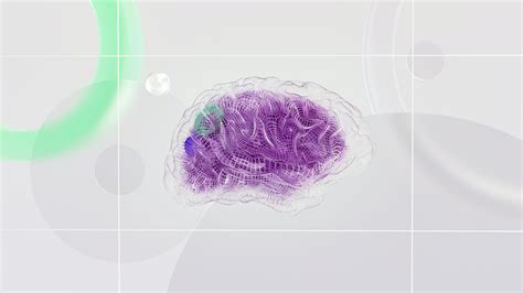 Ai Powered Saas Everything You Need To Know