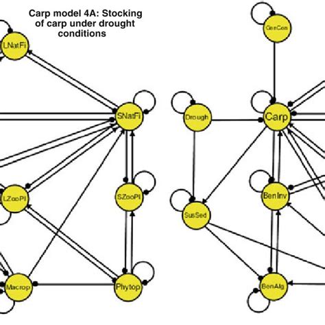 signed directed graphs depicting an ecosystem model of an australian