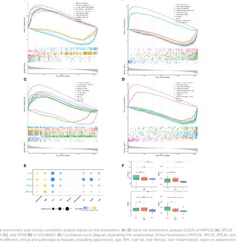 Screening Of Differential Immune Cell Related Modules A The