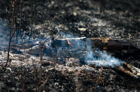 Хөвсгөл аймгийн Жаргалант суманд ой хээрийн түймэр гарч ойролцоогоор