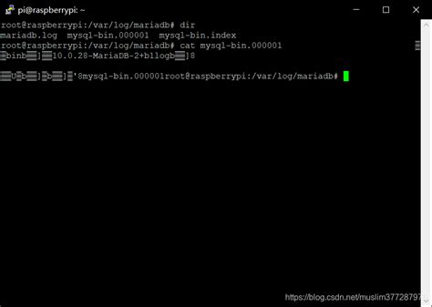 Linux下mariadb开启常规日志、二进制日志以及如何使用闪回centos Mariadb 开启 通用日志 Csdn博客