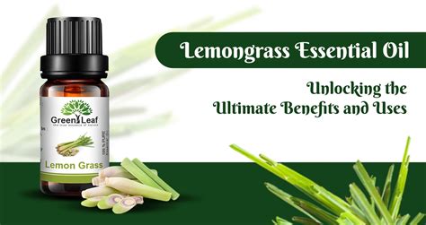 Lemongrass Essential Oil Unlocking The Ultimate Benefits And Uses
