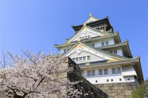 【豊臣秀吉が築いた大阪城】構造と歴史からその魅力を知る！ 歴人マガジン
