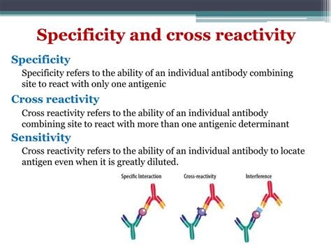 Ppt Antigen Antibody Reactions Powerpoint Presentation Free Download