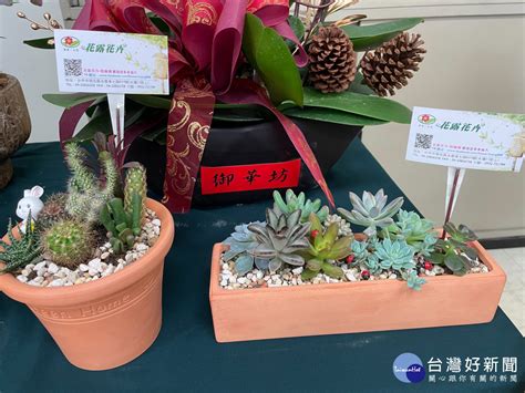 中秋送禮新選擇 可愛漂亮應景花好月圓組合盆栽