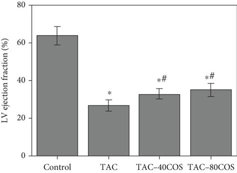Echocardiographic And Hemodynamic Measurements Demonstrating That Cos