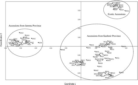 Principal Coordinate Analysis Pcoa Of 106 Apricot Accessions