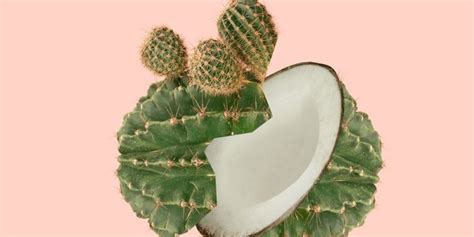 Paradoxically Meaning And Explanation