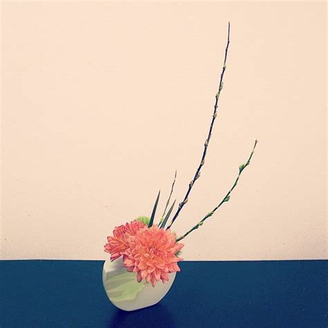 79 Likes 1 Comments 井上太市池坊いけばな教室 inouetaichi class on Instagram