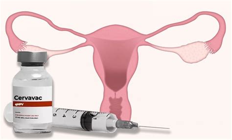 All You Need To Know About The Indian Hpv Vaccine For Cervical Cancer