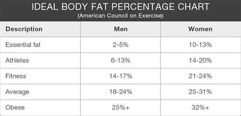 Ideal Body Fat Percentage How Lean Should You Be