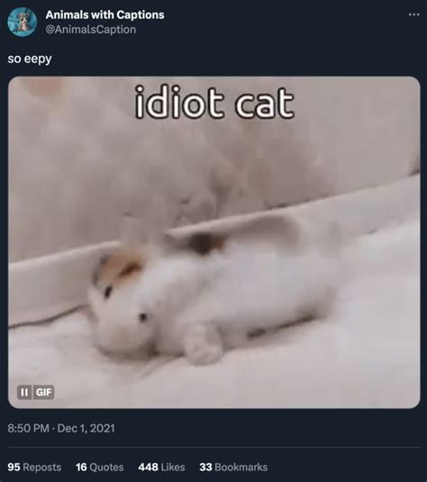 Eepy Know Your Meme