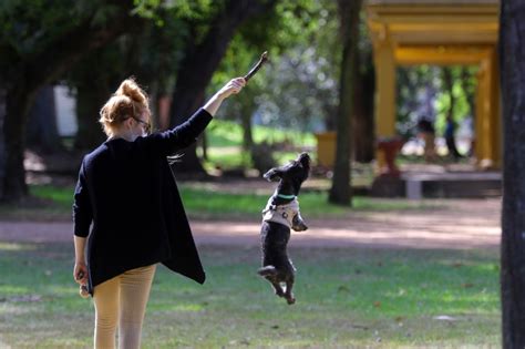 Rio Grande do Sul tem predomínio da umidade nesta sexta feira