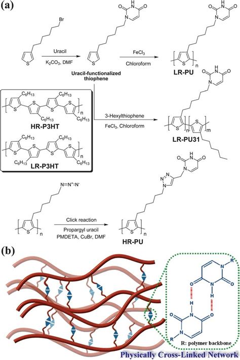 Scheme 1 A Synthetic Procedures Of Uracil Functionalized Download Scientific Diagram