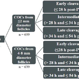 Experimental Design Download Scientific Diagram